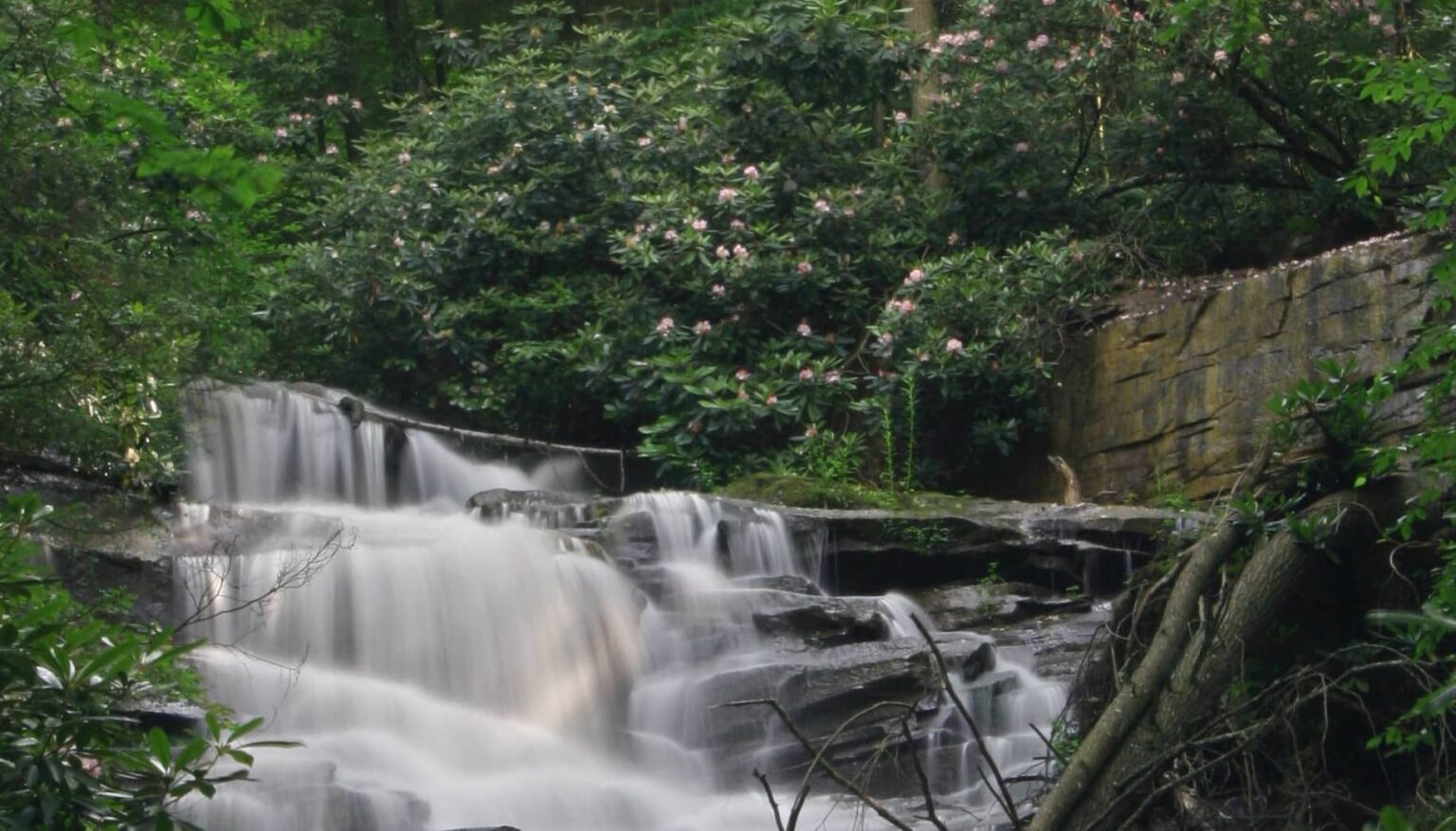 Our 10 Favorite Trails in New River Gorge National Park ...